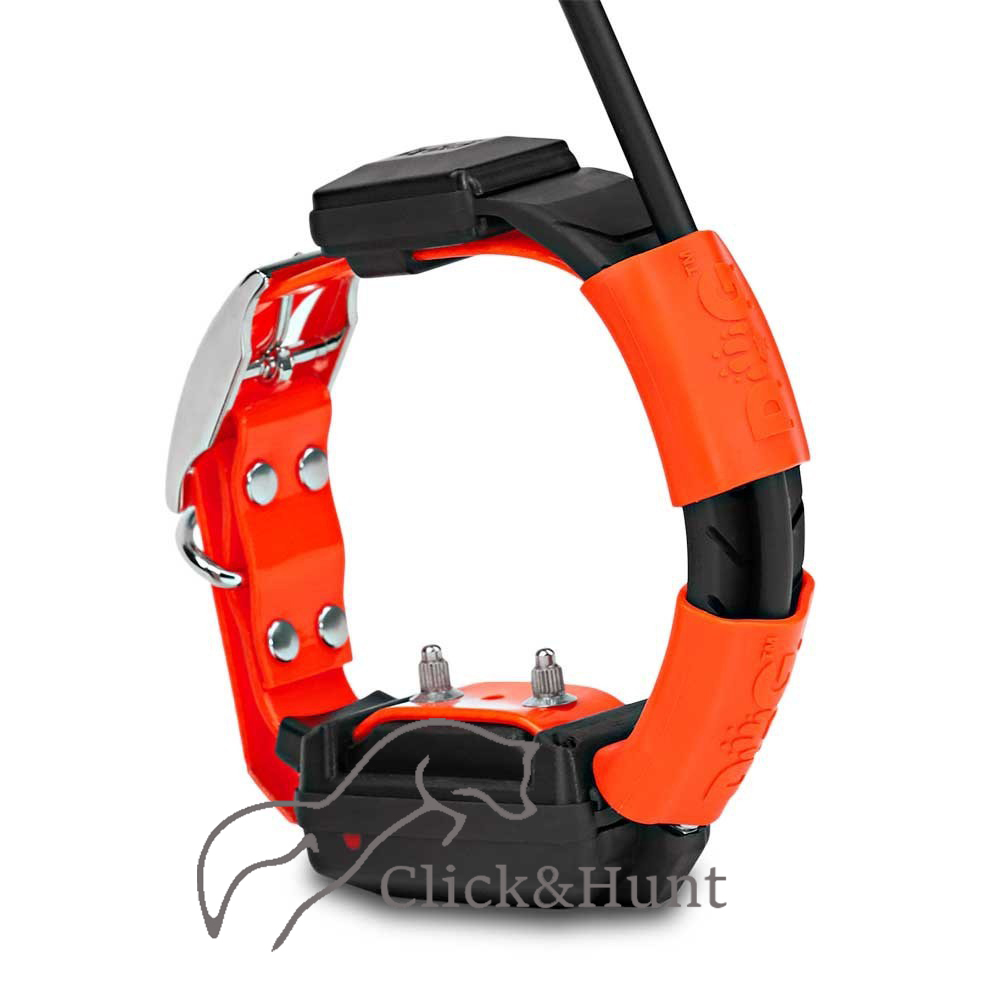 DogTrace GPS X30-T - Collar GPS y Educativo y Cargador | Click&Hunt